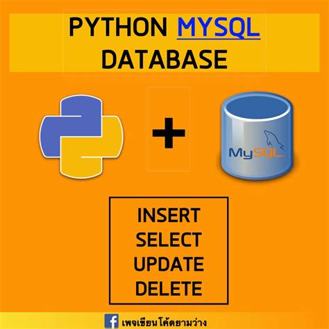 Basic พื้นฐาน Python Mysql Database เขียนโค้ดยามว่าง