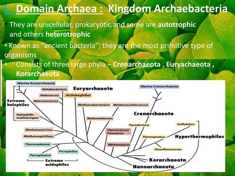 Three Domain Of Classification Pptx