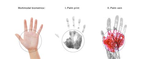 Alipay Palmprint Recognition X Behance