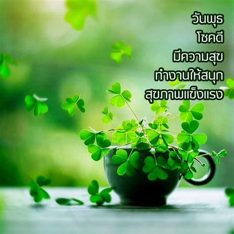 ธรรมะ สุภาษิต วันสีเขียว อรุณสวัสดิ์ วันพุธ