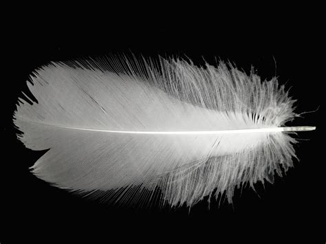 Finding Info About Additive Particlesystem Shader Unity Engine