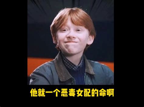 假如小天狼星是女生 霍格沃茨的华夏老师 霍格沃茨的华夏老师 哔哩哔哩视频
