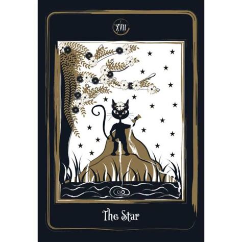 Black Cat Tarot Cards At Cari Kirby Blog