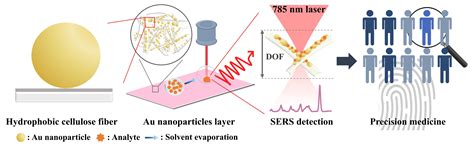 Ultrasensitive Sers Based Sensing Platform For Clinical Applications Future Tech Pavilion Futex
