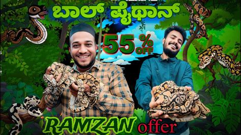 Ball Python ಬಾಲ್ ಪೈಥಾನ್ 55 Off Ramzan Offer Kannada Youtube