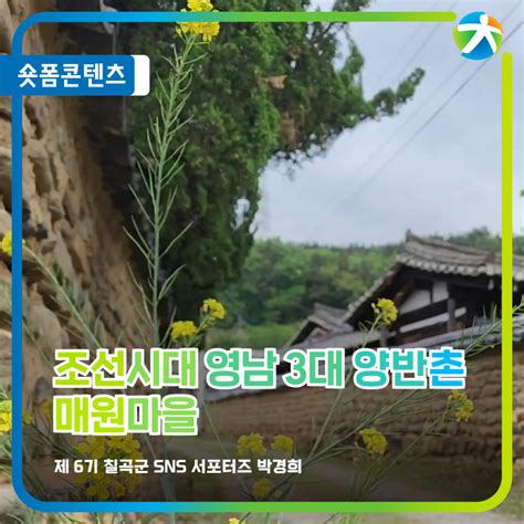 숏폼 조선시대 영남 3대 양반촌 매원마을 경상북도 칠곡군 웰로