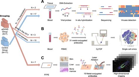 A Schematic Of The Experimental Design A Multiple Viral Dna And Rna Download Scientific Diagram