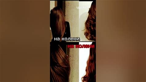 тренд подпишись New На колени Youtube