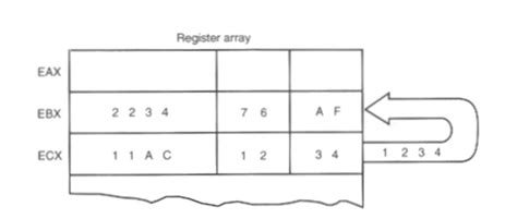 Unit 5 Unit 5 Introduction To Goseeko