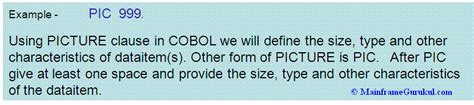 Cobol Data Items