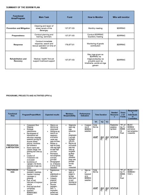 Summary Of The Bdrrm Plan Pdf Disasters Natural Events