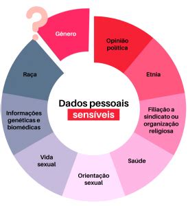 A não classificação legal de gênero como dado pessoal sensível Um estudo à luz da LGPD