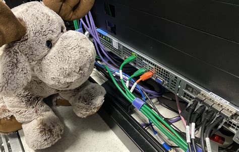 Vyos Universal Router Now Available On Platform Equinix