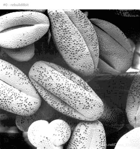 Dpcm差分预测编码实验报告预测编码实验结论 Csdn博客