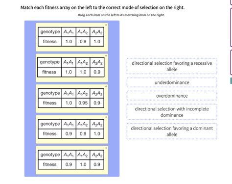 Match Each Fitness Array On The Left To The Correct