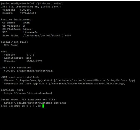 Amazon Web Services Net 6 Web Api Enable Certificate On Aws Ec2 Stack Overflow