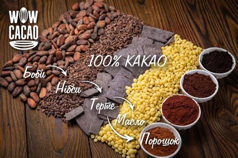 ШЛЯХ КАКАО ВІД БОБА ДО ПОРОШКУ Wow Cacao