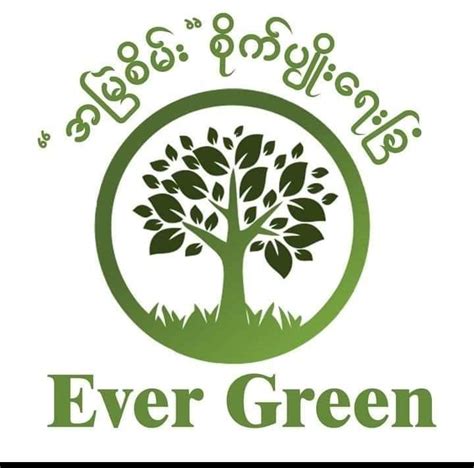 ဒူးရင်းကမဟာရန်ကုန်မြေကြီးမှာစိုက်လို့ရတာလား🌲🧑‍🌾 ရန်ကုန်မြေမ