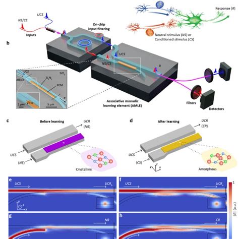 An Optical Associative Monadic Learning Element Amle Download