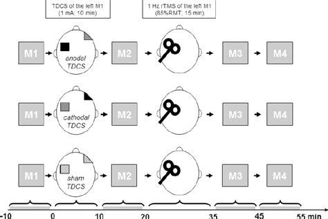 Experimental Design Ten Minutes Of Anodal Cathodal Or Sham Tdcs Download Scientific Diagram
