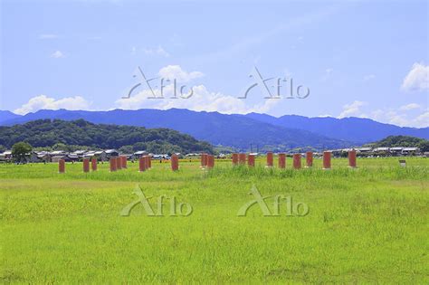 藤原宮跡 大極殿院閤門 こうもん 跡の列柱と天香久山 奈良県 171417755 の写真素材 アフロ