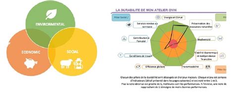 Common Framework For Sustainability Assessment