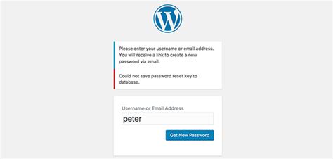 Fix The Could Not Save Password Reset Key To Database Error
