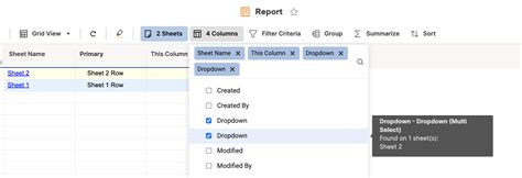 Report Not Letting Me Input Data Smartsheet Community