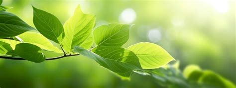 Premium Ai Image Close Up Of Nature View Green Leaf On Blurred