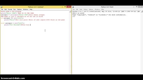 How To Make A Pin Program On Python Youtube