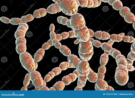 Bacteria Streptococcus Thermophilus Stock Illustration Illustration Of Streptococci Food