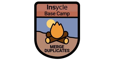 Merge Duplicates Badge Insycle Modern Customer Data Management