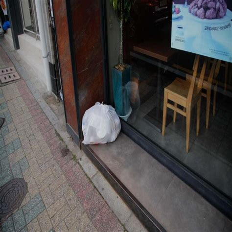 Dump Dump Pyixw Roboflow Universe