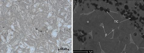 Microstructure Of The Ti64 Tic Composite Download Scientific Diagram