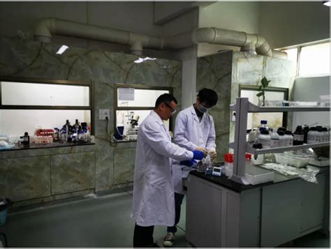 Reusable Silicon Eye Pads For Lash Lift And Tint Protection