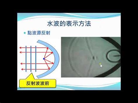 電與磁的統一觀念水波槽14水波的波前與反射現象高一物理 YouTube