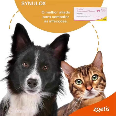 Antipulgas Simparic 20mg Para Cães De 51 A 10kg Zoetis