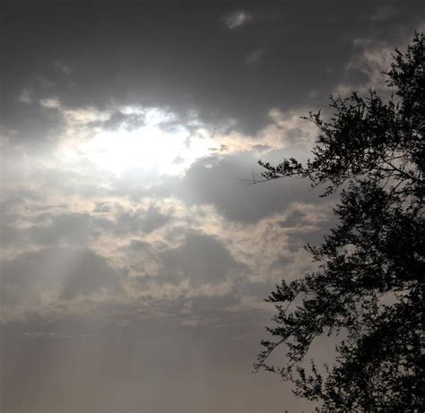 Uneeb Ullah Malik On Linkedin Positivethiking Normanvincentpeale Photographs Silhouette