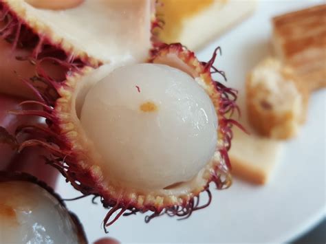 열대과일 람부탄 리치 배고플때 리치 먹으면 사망할수 네이버 블로그