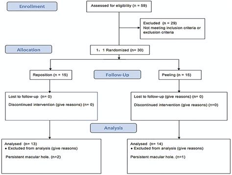Peeled Internal Limiting Membrane Reposition For Idiopathic Retina