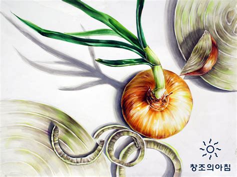 기초디자인 건국대 기디 입시미술 기초디자인 개체묘사 양파 일러스트 디자인 그림 디자인 미술 워크시트 미술 구도