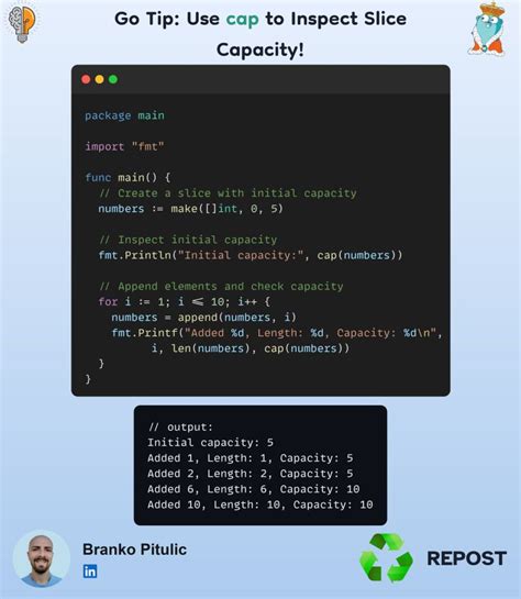 Go Golang Softwareengineering Softwaredevelopment Gophers Branko