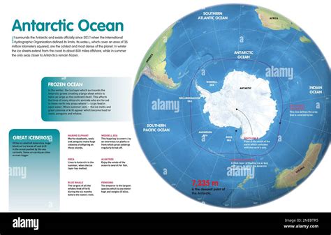Infographic About The Antarctic Ocean That Surrounds Antarctica Its