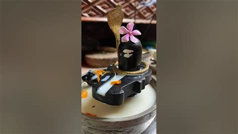 হর হর মহাদেব🙏🙏 আজ শুভ শিবচতুর্দশী সকল অশুভ শক্তি বিনাশ হোক ঔঁ নমঃ শিবায় 🙏 Shorts Mahadev