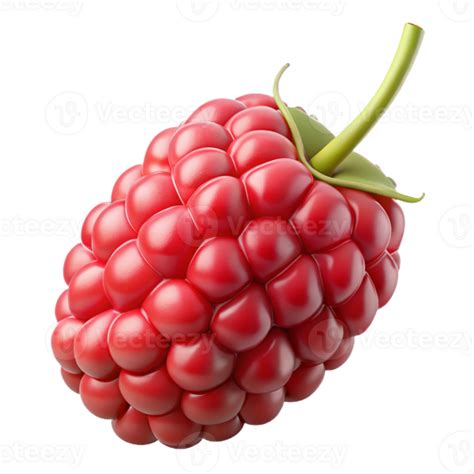 3d Render Raspberry Fruit Illustration 53812070 Png