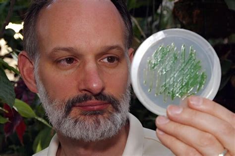 Scientists Control Daily Biological Clock Of Algae Advancing Biomedicine