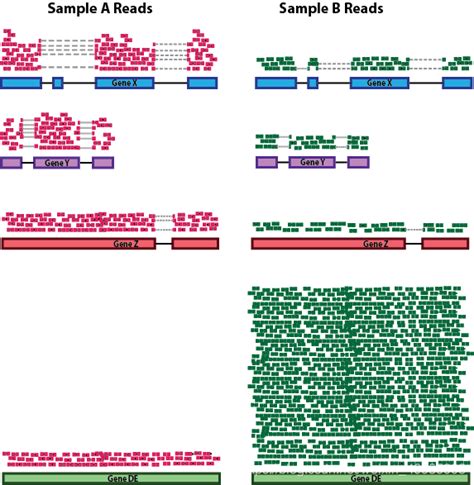 哈佛大学——差异表达分析（五）计数归一化fpkm做差异表达分析 Csdn博客