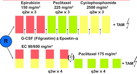 Trial Design Of Ago Trial Intense Dose Dense Epirubicin Paclitaxel Download Scientific