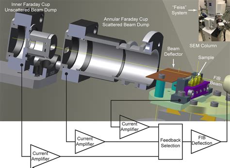 Enhanced Fib Sem Systems For Large Volume 3d Imaging Elife