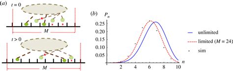A Cartoon Showing Scenario B Variable Number Of Binding Sites And Download Scientific